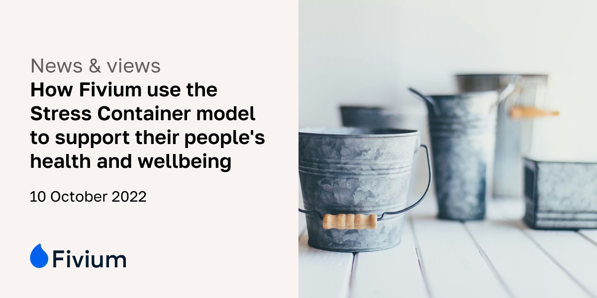 How Fivium use the Stress Container model to support their people's ...